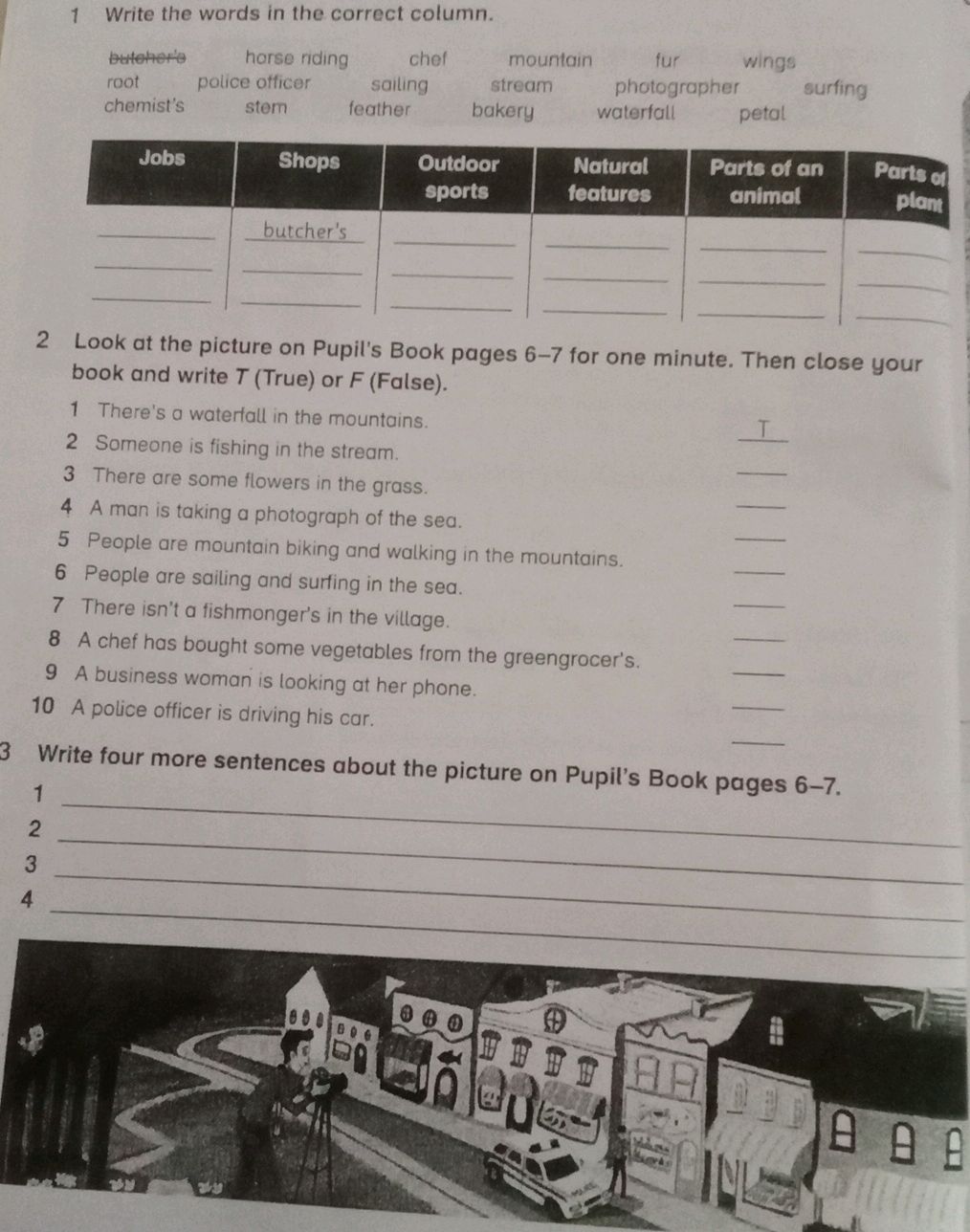 1 Write the words in the correct column. | | StudyX