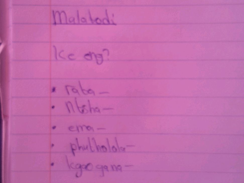 Malatodi Ke eng? raba- ntsha- ema-