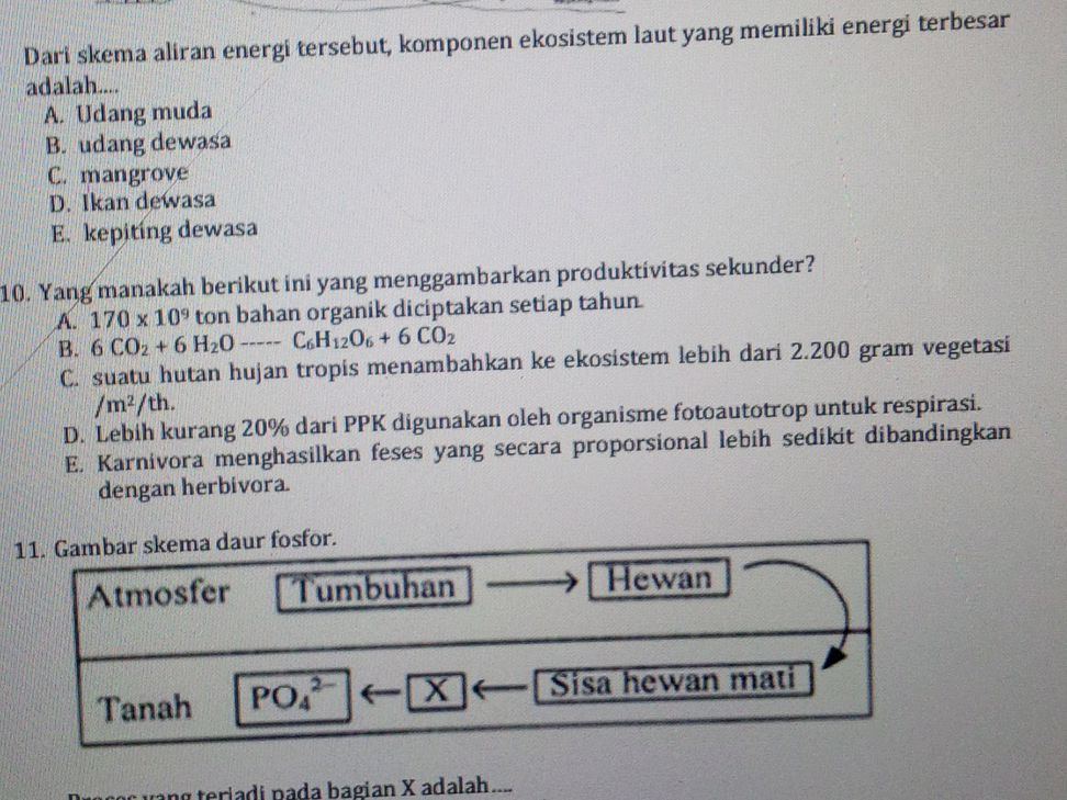 Dari skema aliran energi tersebut, komponen | StudyX
