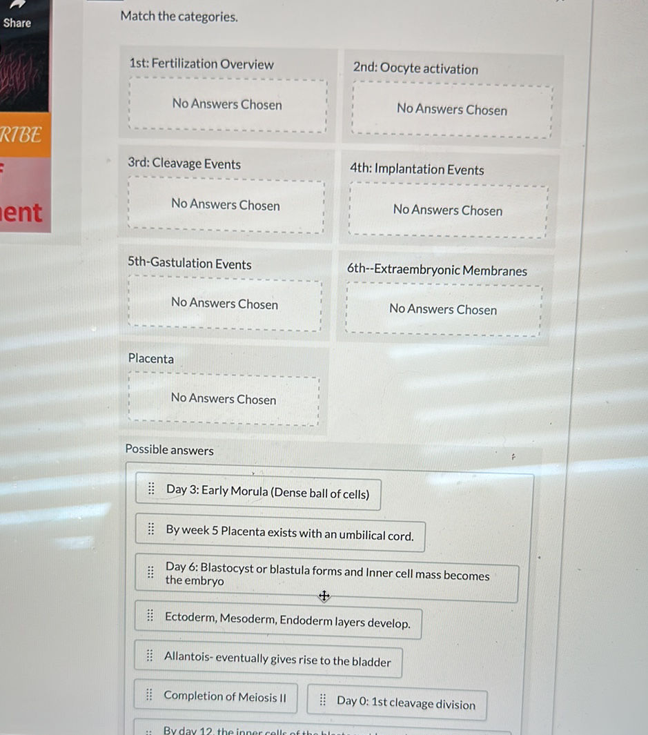 Match the categories. 1st: Fertilization | StudyX