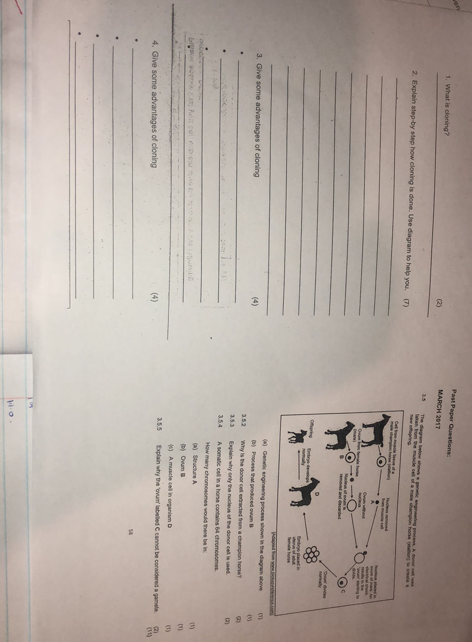 1. What is cloning? 2. Explain step-by step | StudyX