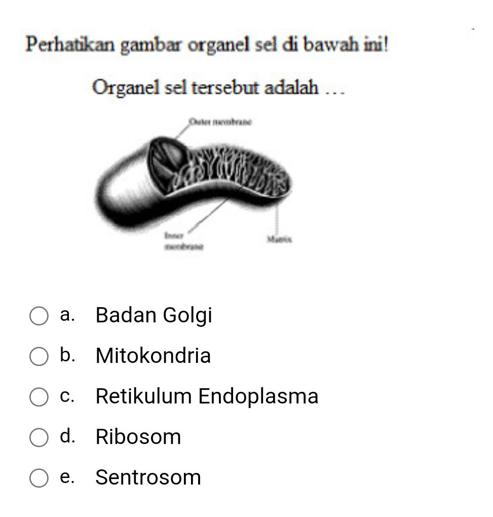 Perhatikan gambar organel sel di bawah ini! | StudyX