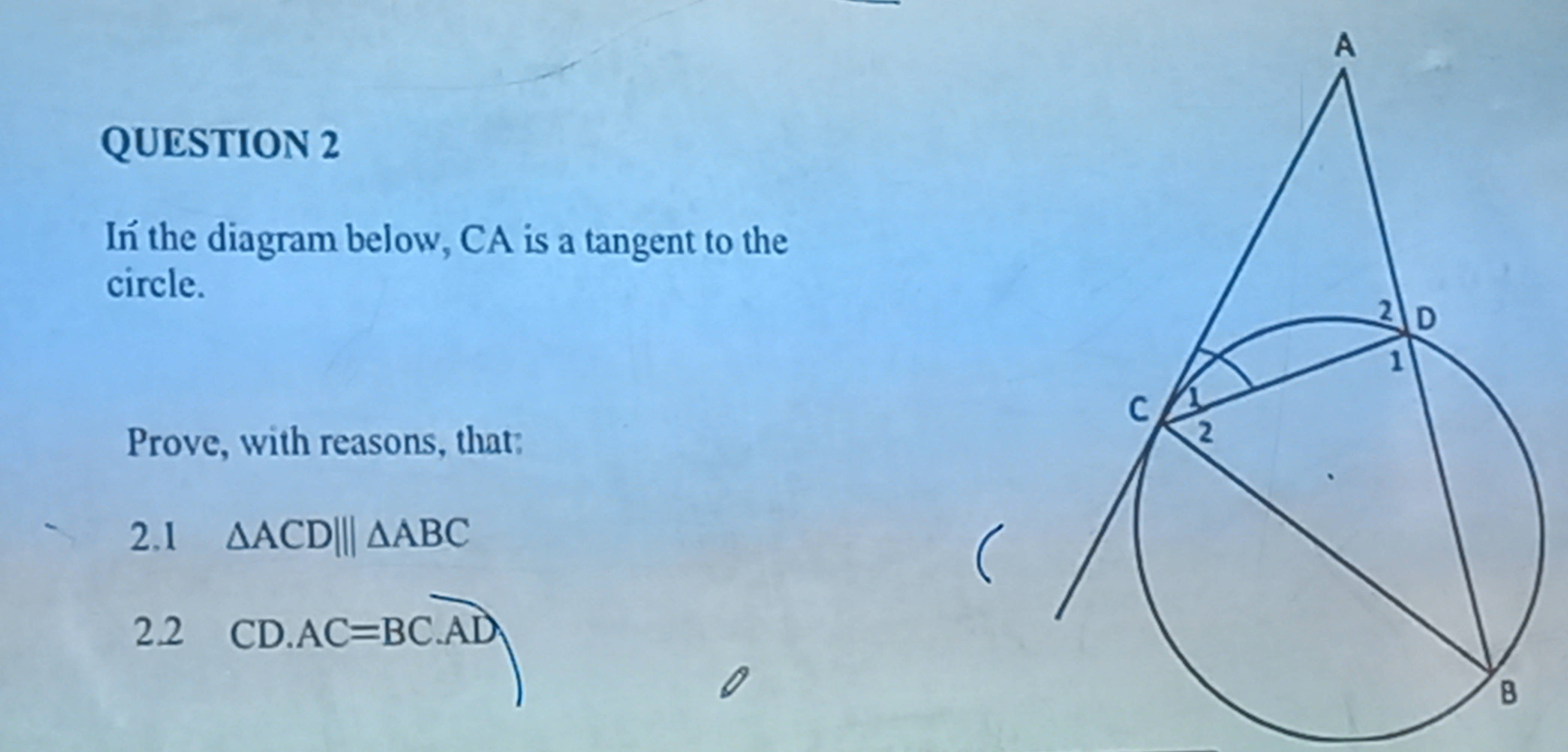 QUESTION 2 In the diagram below, CA is a | StudyX