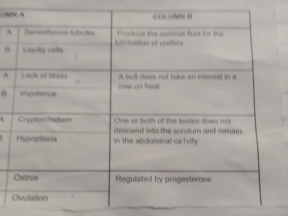 | COLUMN A | COLUMN B | |---|---| | A | StudyX