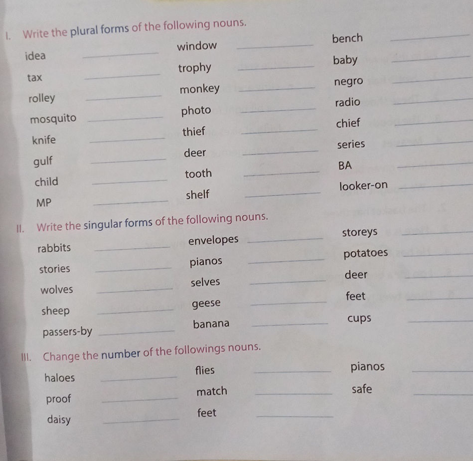 I. Write the plural forms of the following | StudyX