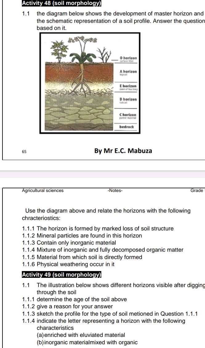Activity 48 (soil morphology) 1.1 the | StudyX