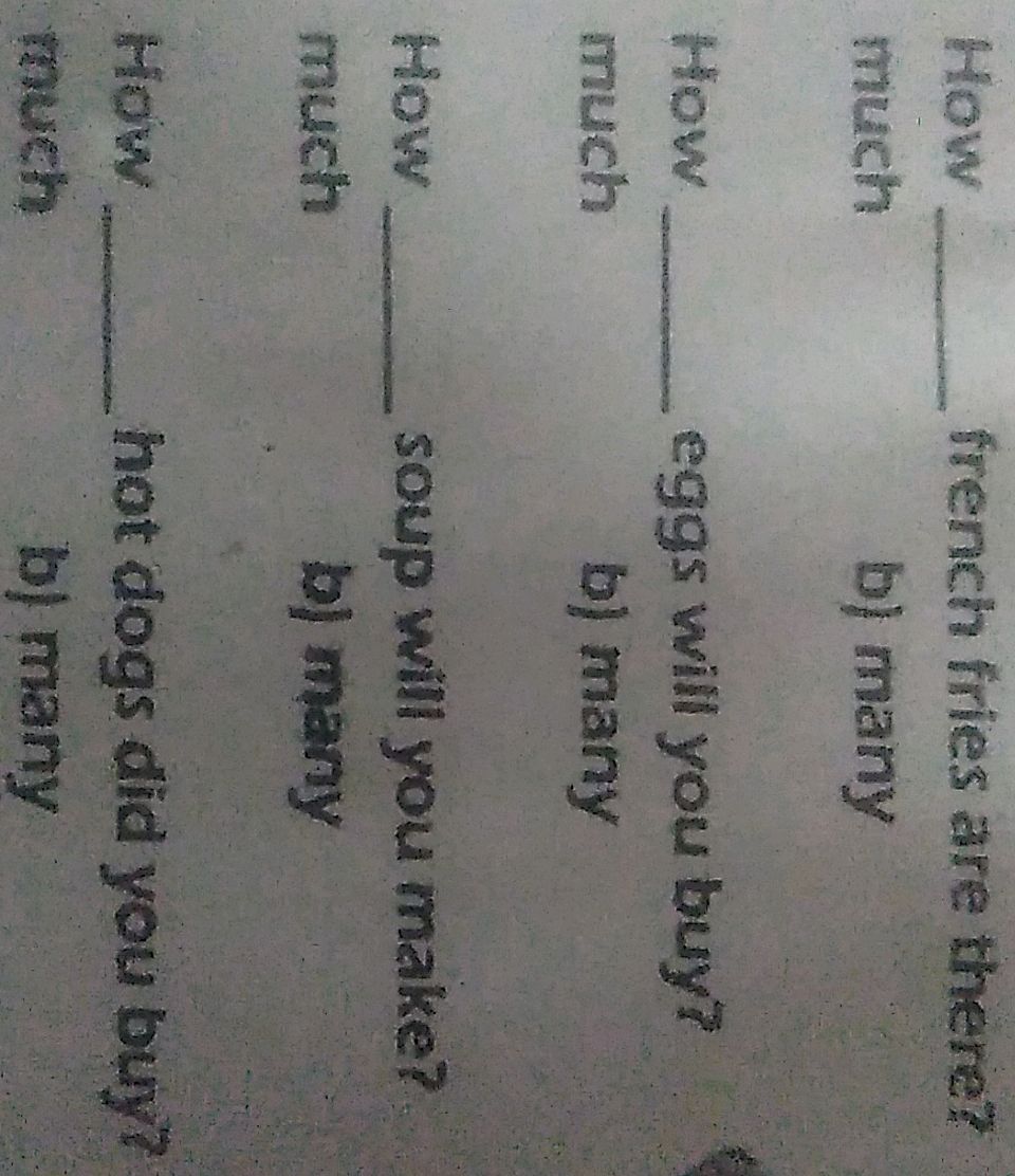 How french fries are there? much b) many | StudyX