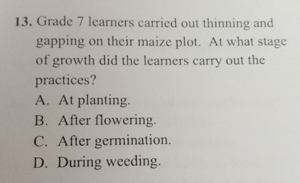 13. Grade 7 learners carried out thinning | StudyX