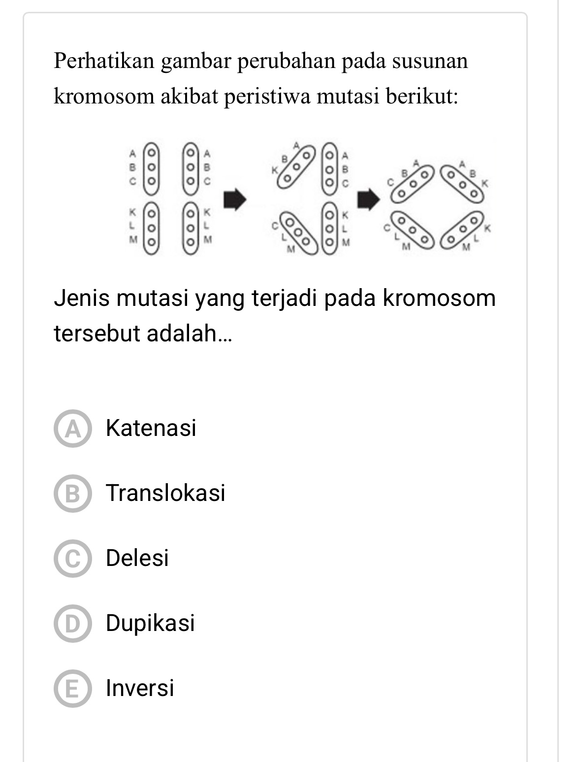 Perhatikan gambar perubahan pada susunan | StudyX