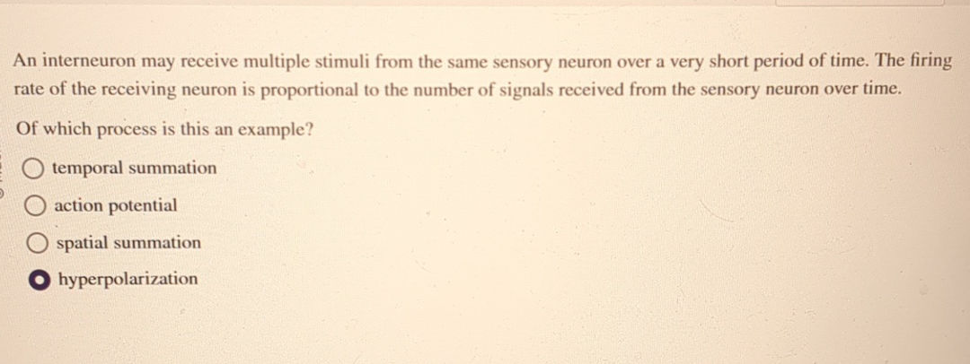 An interneuron may receive multiple stimuli | StudyX