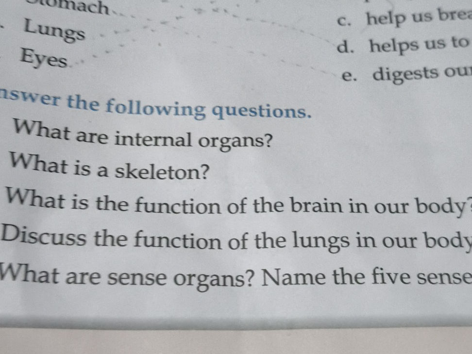 What are internal organs? What is a | StudyX