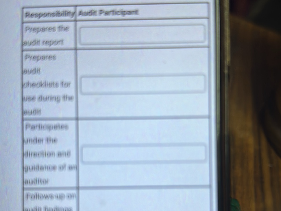 | Responsibility | Audit Participant | | StudyX