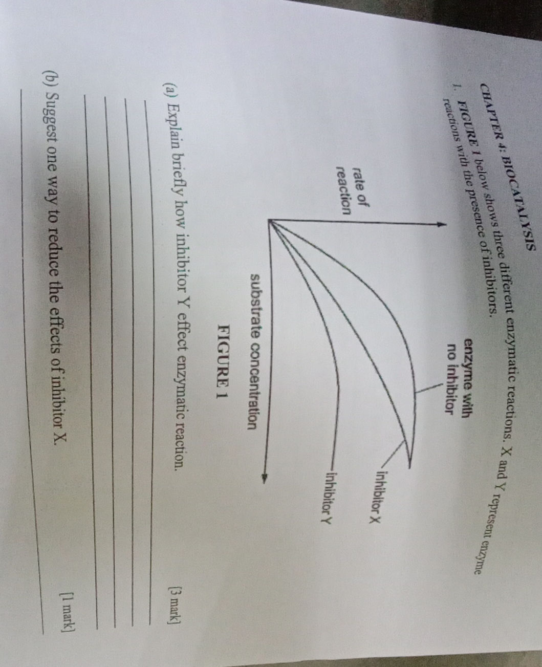 FIGURE 1 below shows three different | StudyX