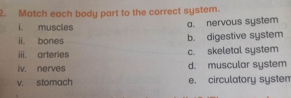 2. Match each body part to the correct | StudyX
