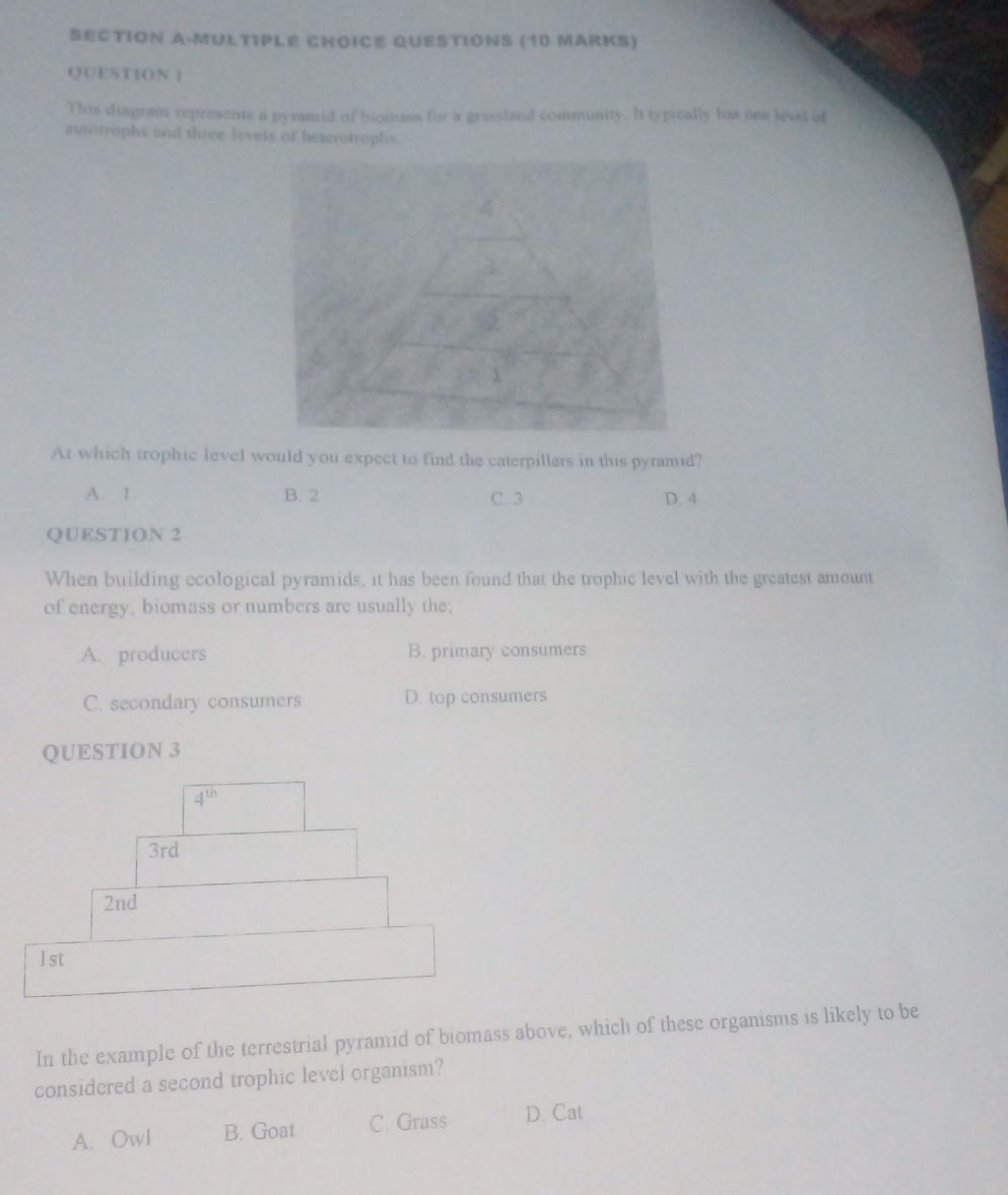 QUESTION 1 This diagram represents a pyramid | StudyX