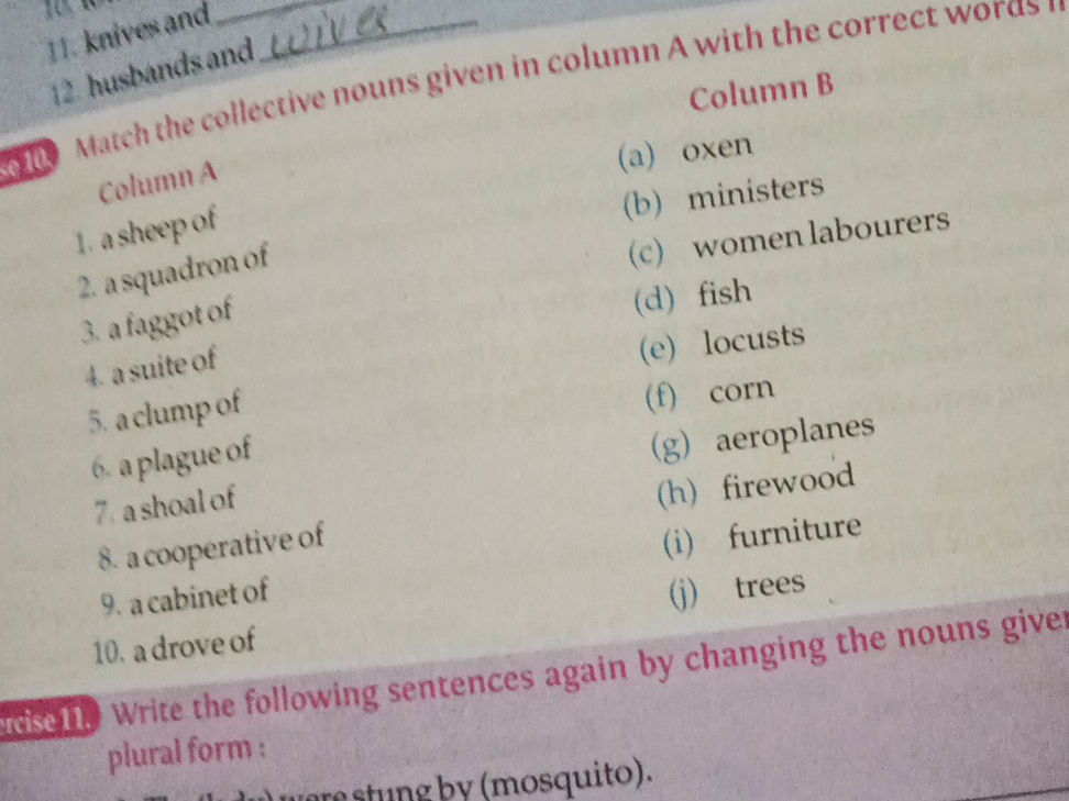 Match the collective nouns given in column A | StudyX