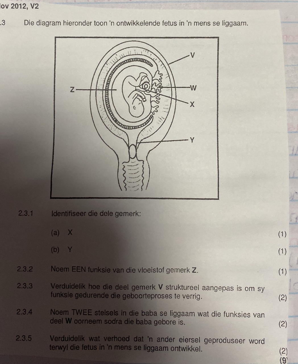 2.3 Die diagram hieronder toon 'n | StudyX