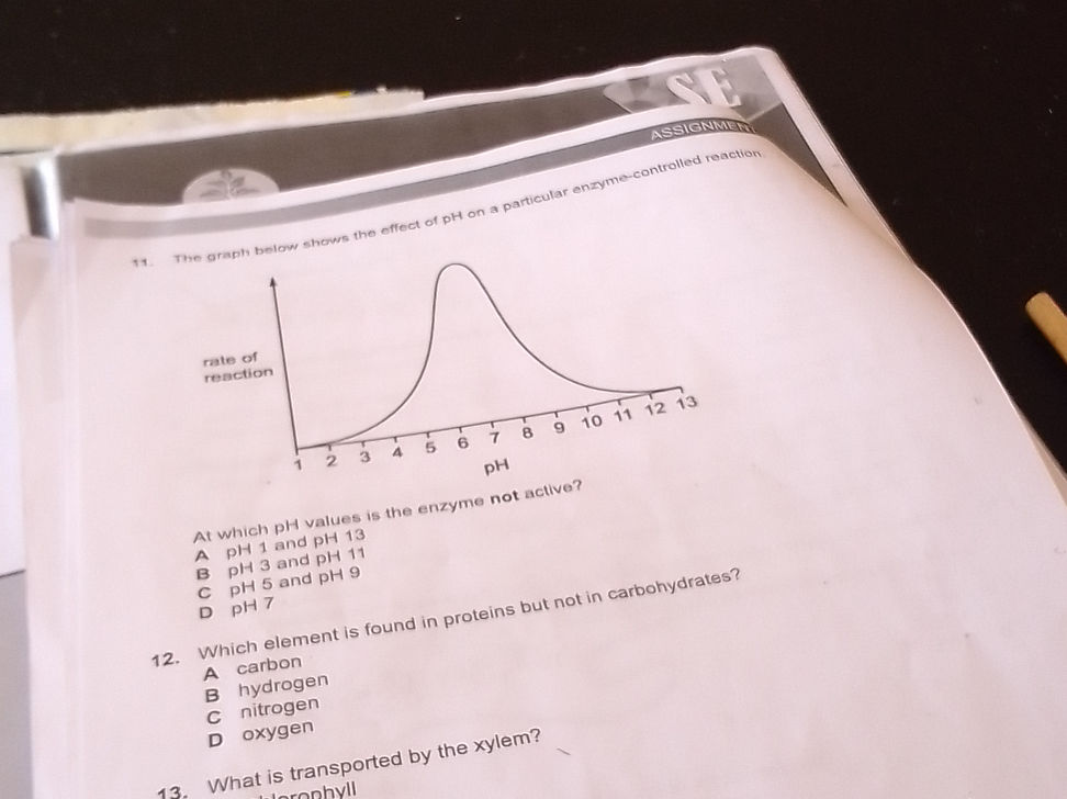 11. The graph below shows the effect of pH | StudyX