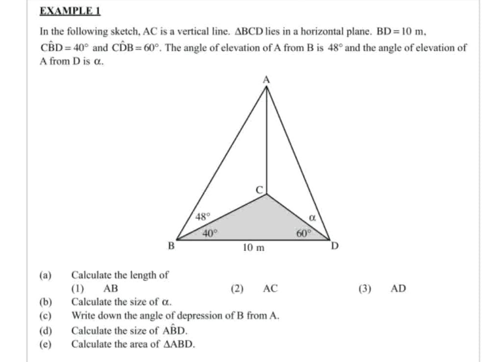 EXAMPLE 1 In the following sketch, AC is a | StudyX