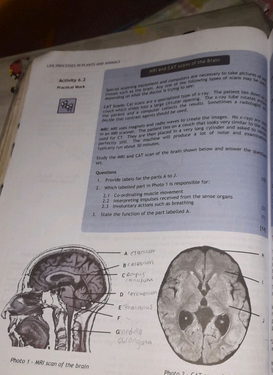 1. Provide labels for the parts A to J. 2. | StudyX