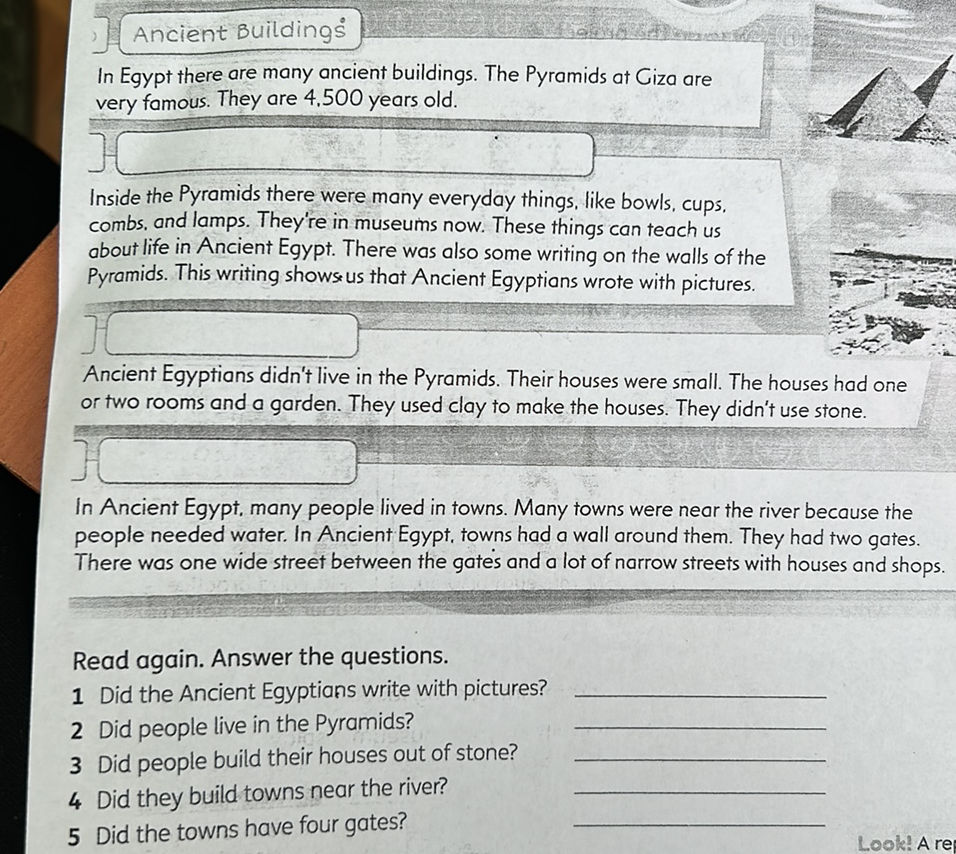 Read again. Answer the questions. 1 Did the | StudyX