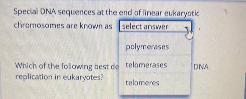 Special DNA sequences at the end of linear