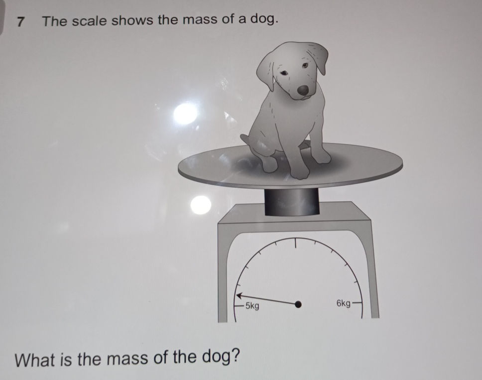 7 The scale shows the mass of a dog. What | StudyX