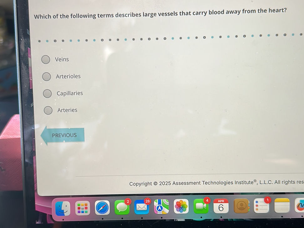 Which of the following terms describes large | StudyX