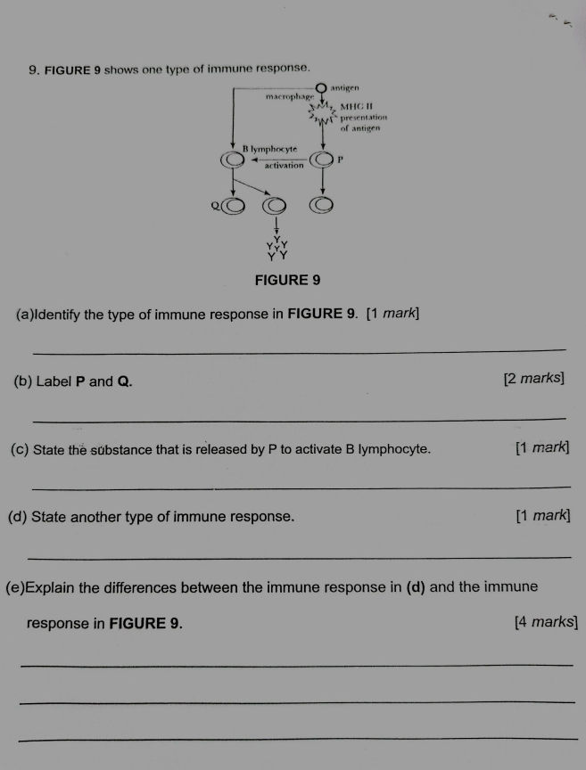 9. FIGURE 9 shows one type of immune | StudyX