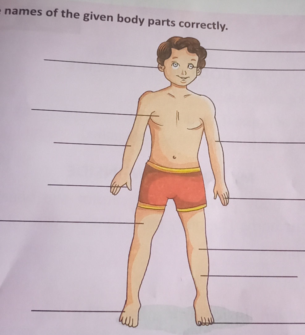Name the given body parts correctly. (Image | StudyX