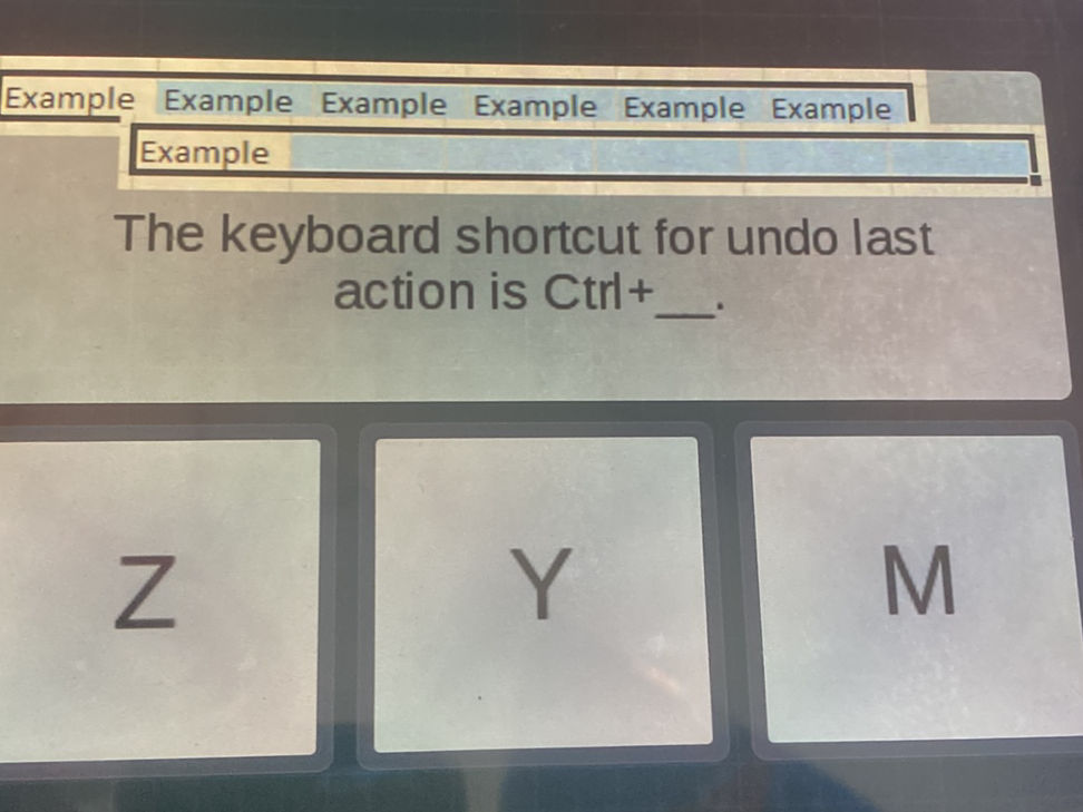 The keyboard shortcut for undo last action | StudyX