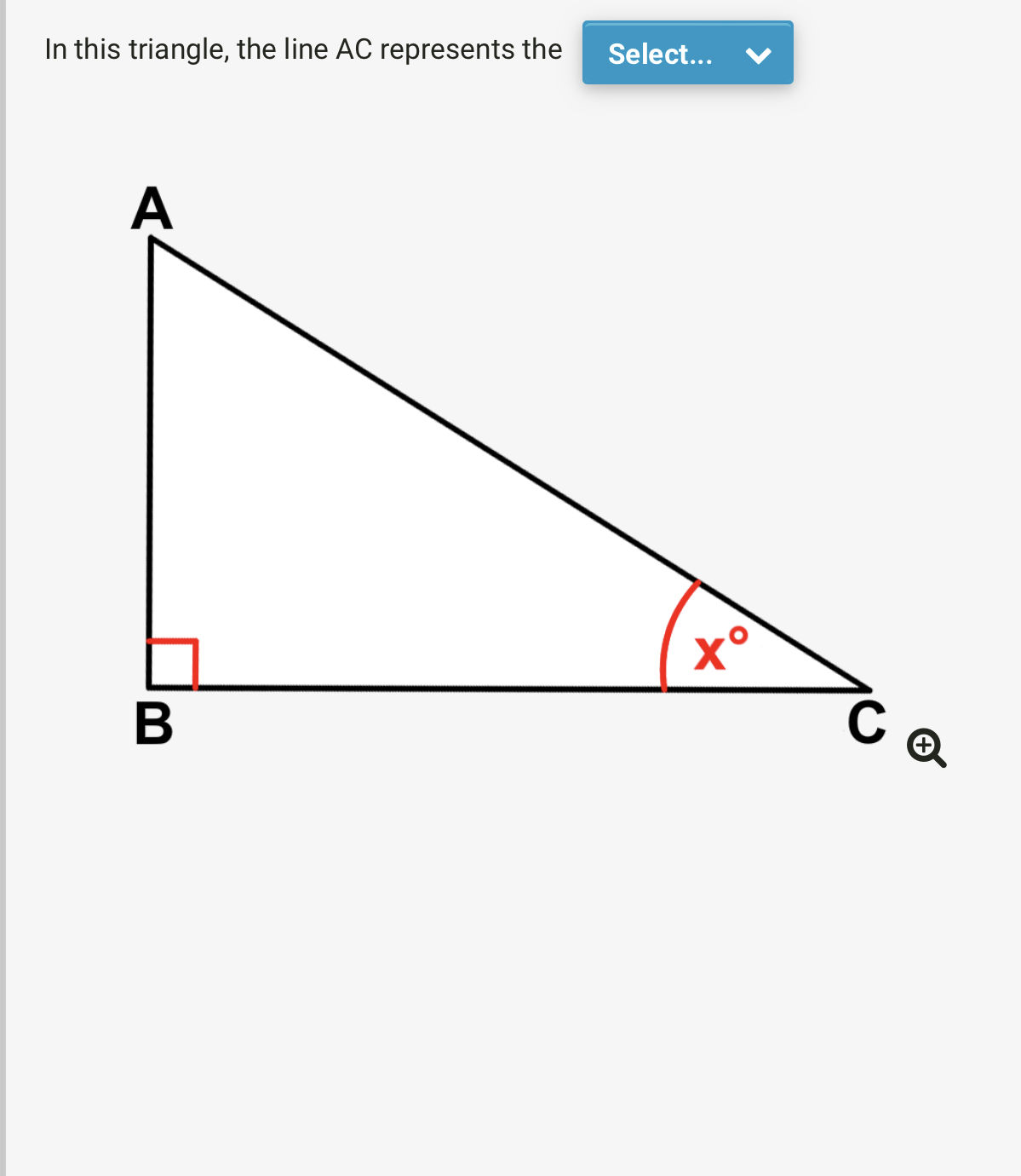 In this triangle, the line AC represents the | StudyX