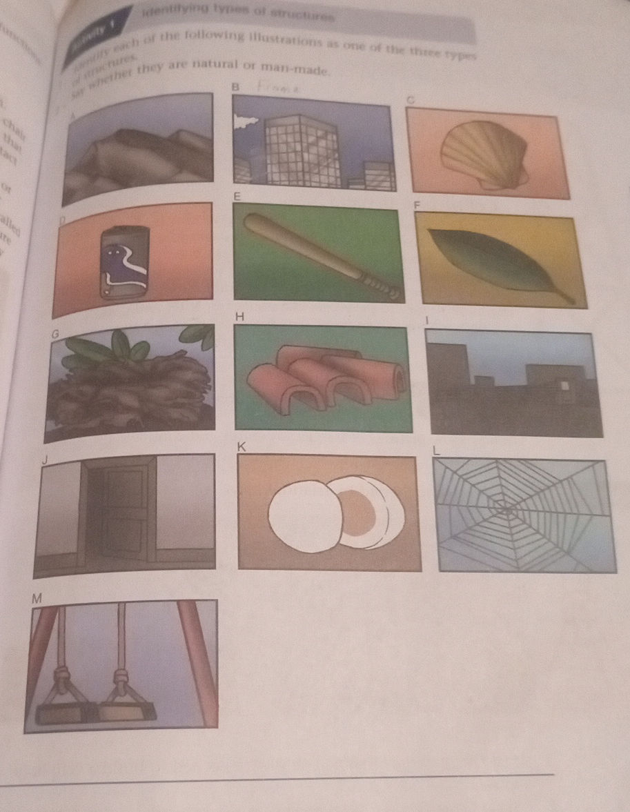 Identify each of the following illustrations | StudyX