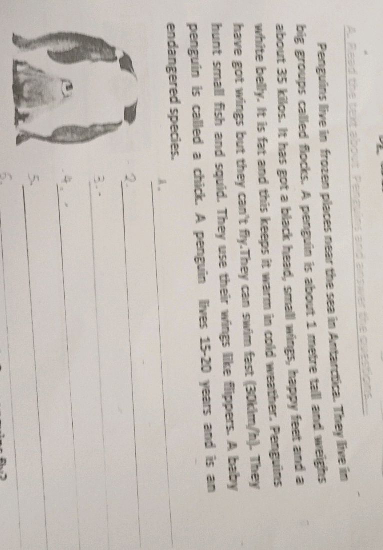 A. Read the text about Penguins and answer | StudyX