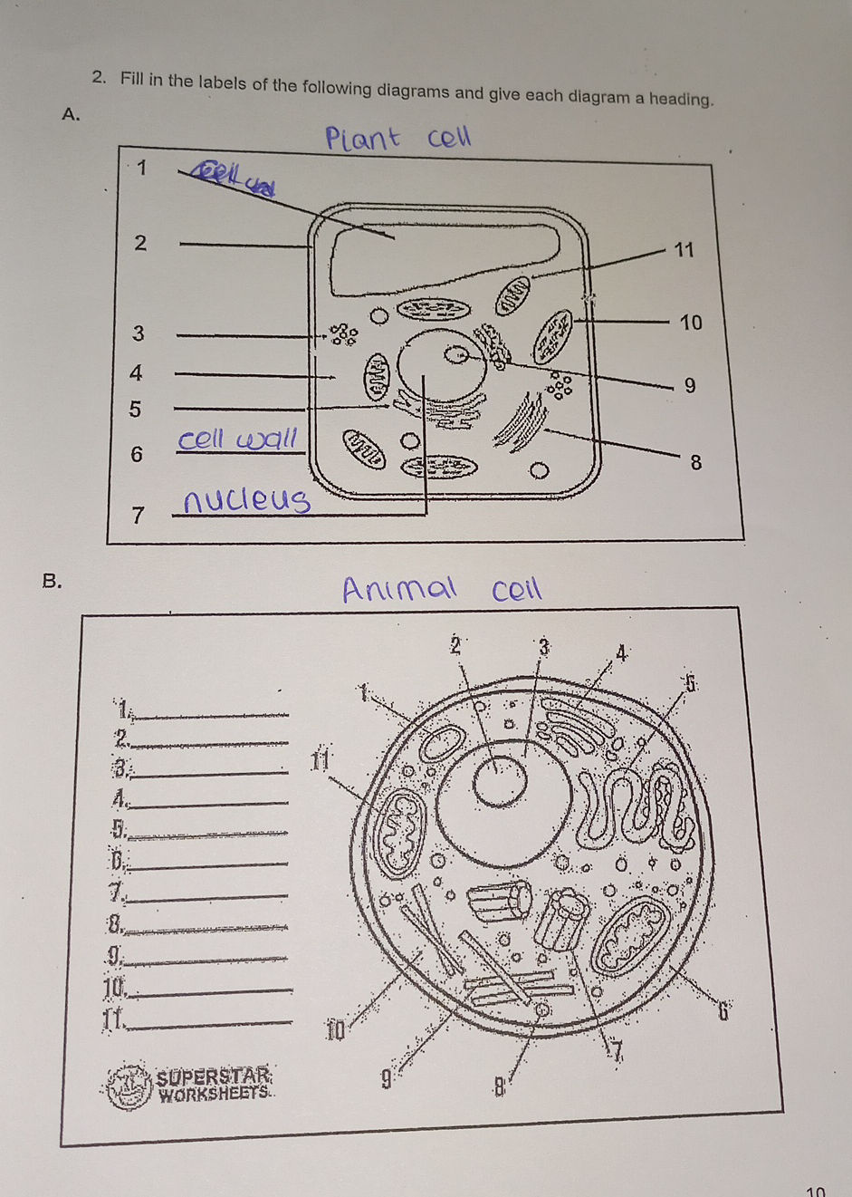 2. Fill in the labels of the following | StudyX