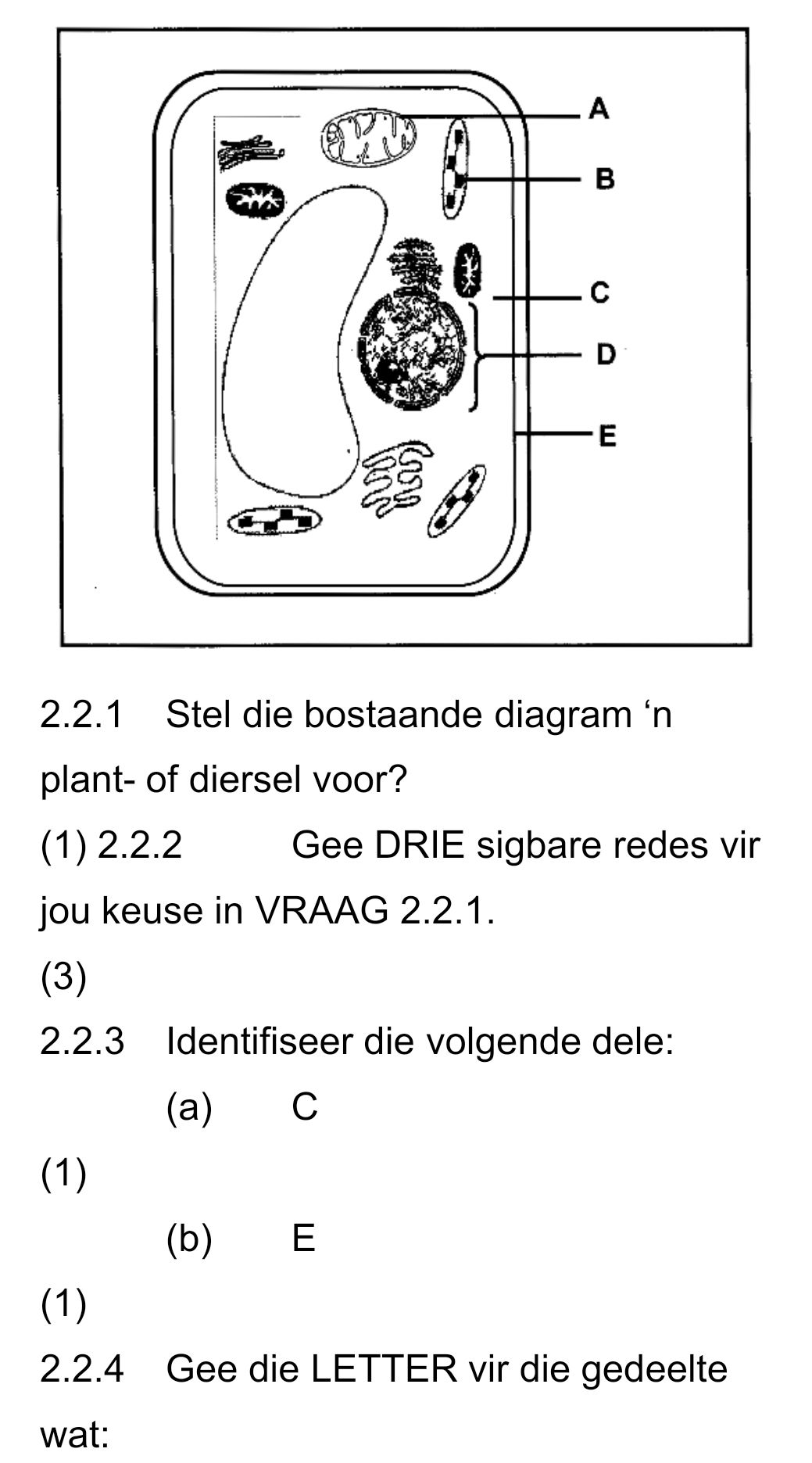 2.2.1 Stel die bostaande diagram 'n plant- | StudyX