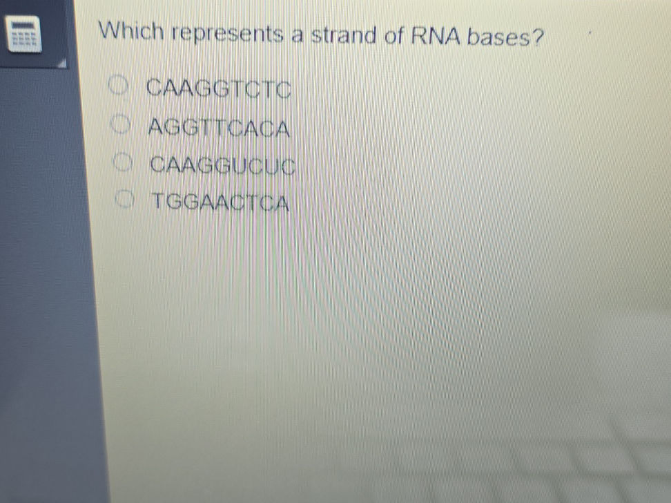 Which represents a strand of RNA bases?