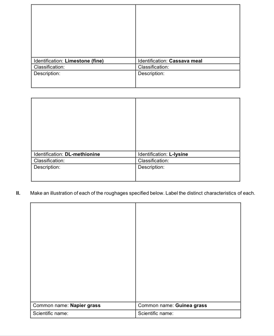 Identification: Limestone (fine) | StudyX