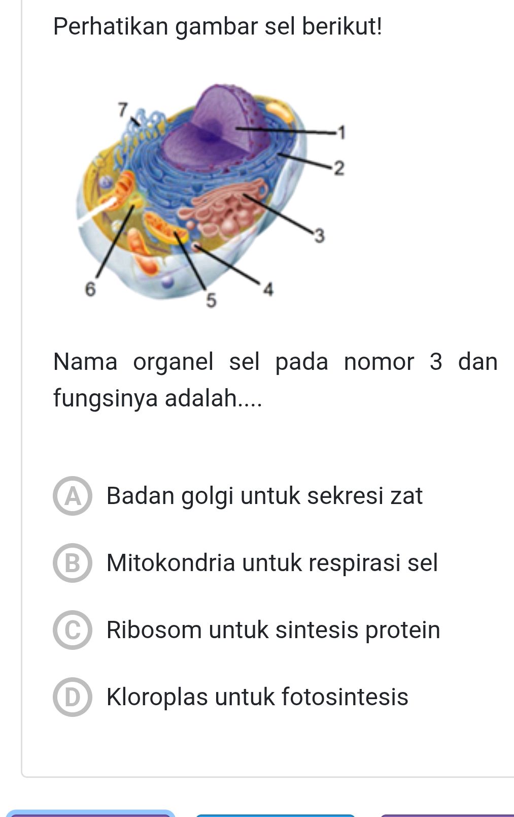 Perhatikan gambar sel berikut! Nama organel | StudyX