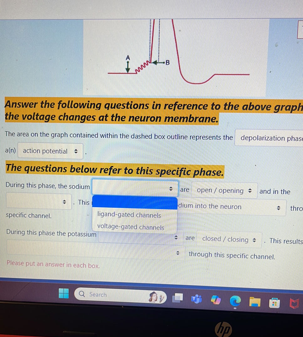 Answer the following questions in reference | StudyX