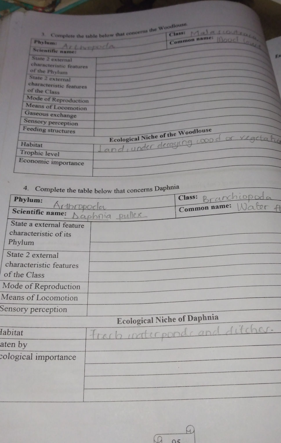 3. Complete the table below that concerns | StudyX