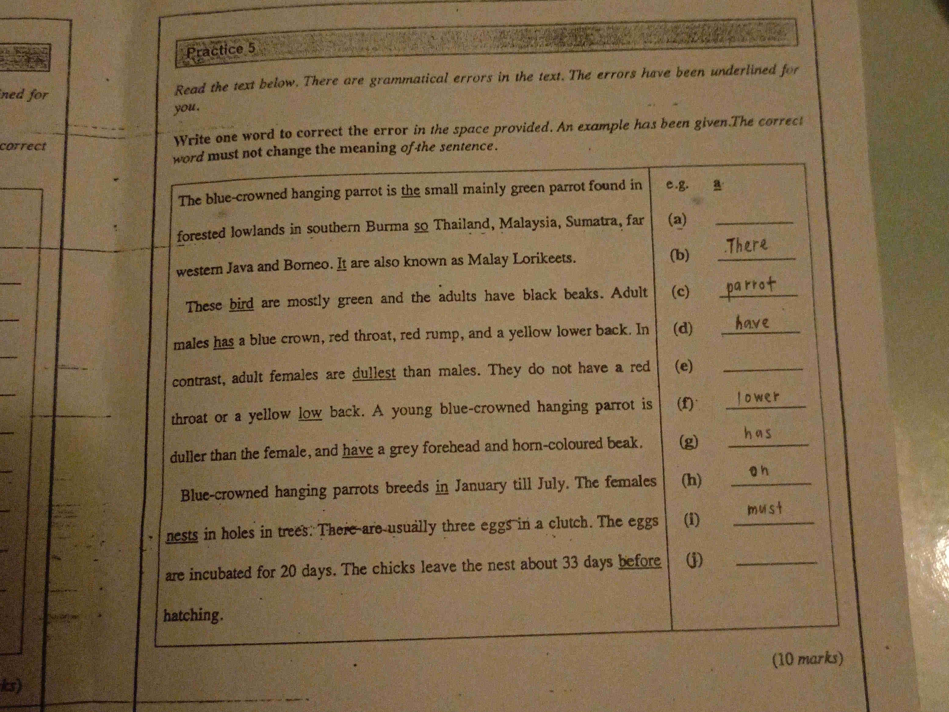 Read the text below. There are grammatical | StudyX