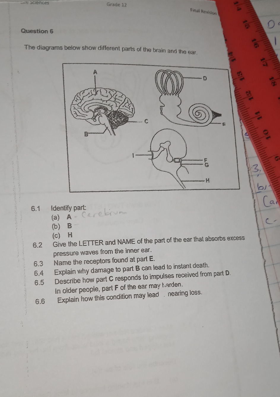 Question 6 The diagrams below show | StudyX
