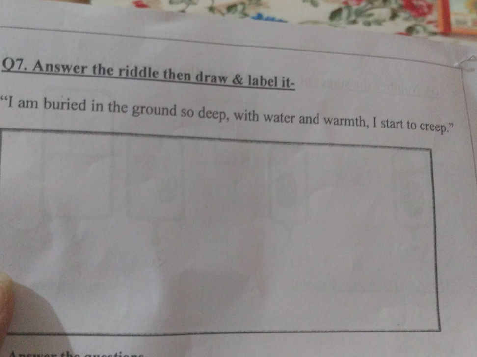 Q7. Answer the riddle then draw label it- | StudyX