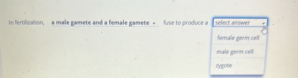 In fertilization, a male gamete and a female | StudyX