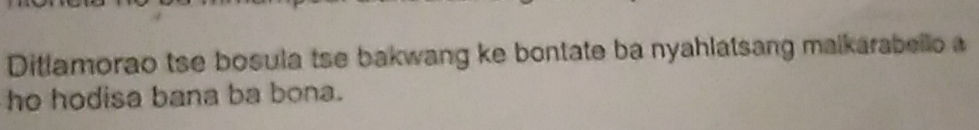 Ditlamorao tse bosula tse bakwang ke bontate | StudyX