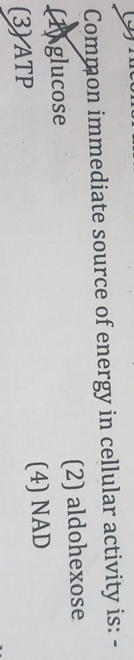 Common immediate source of energy in | StudyX