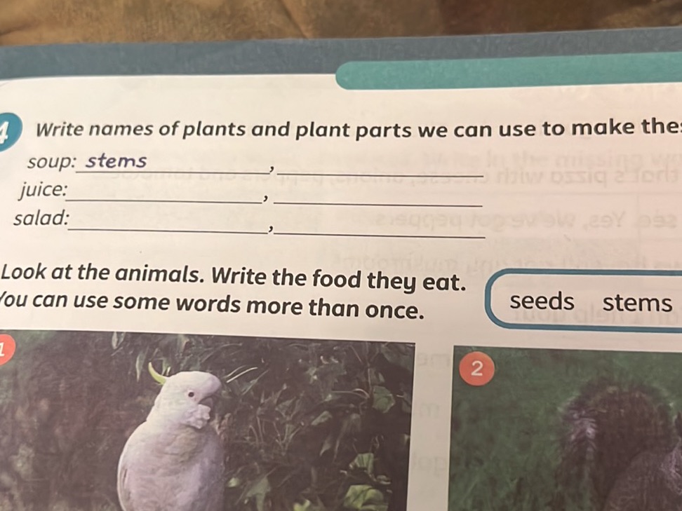 Write names of plants and plant parts we can | StudyX
