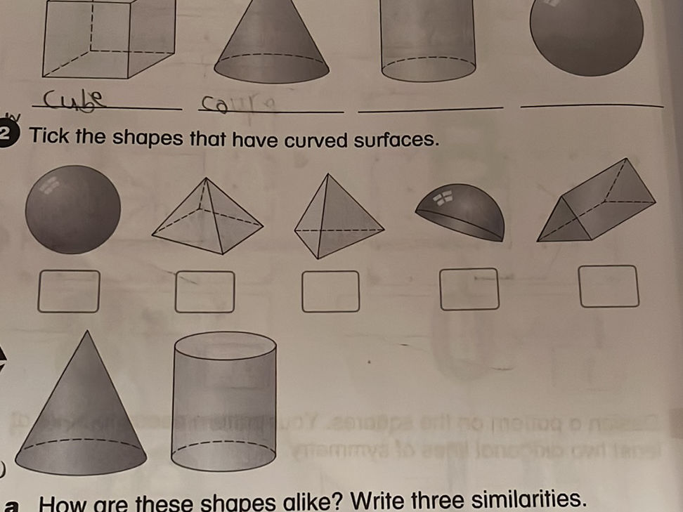 2 Tick the shapes that have curved surfaces. | StudyX