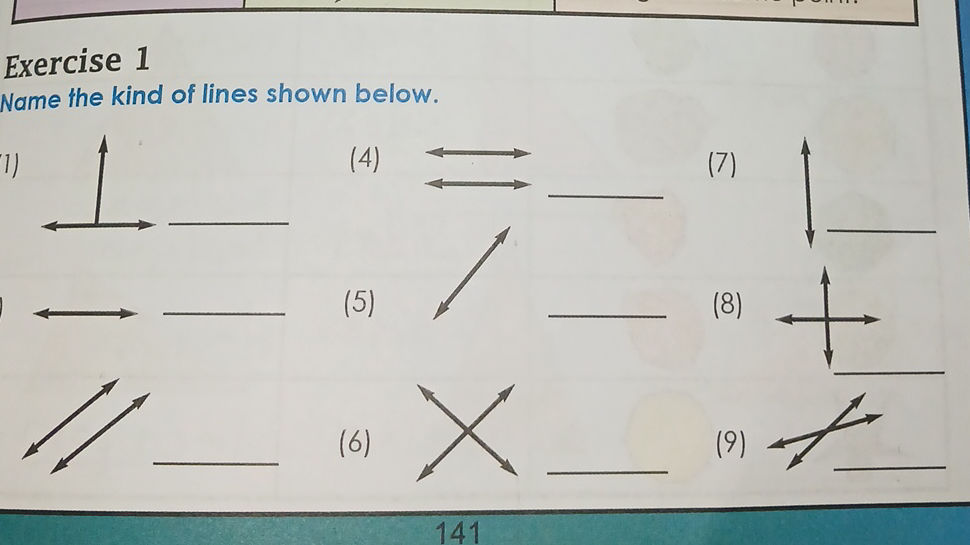 Exercise 1 Name the kind of lines shown | StudyX